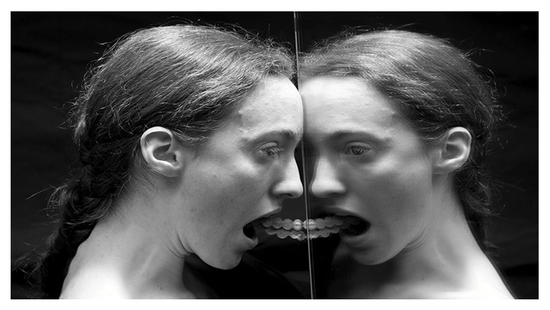 MIRRORING: PARROT PERSONALITIES & SOCIAL TRENDS - JIA's JOURNAL